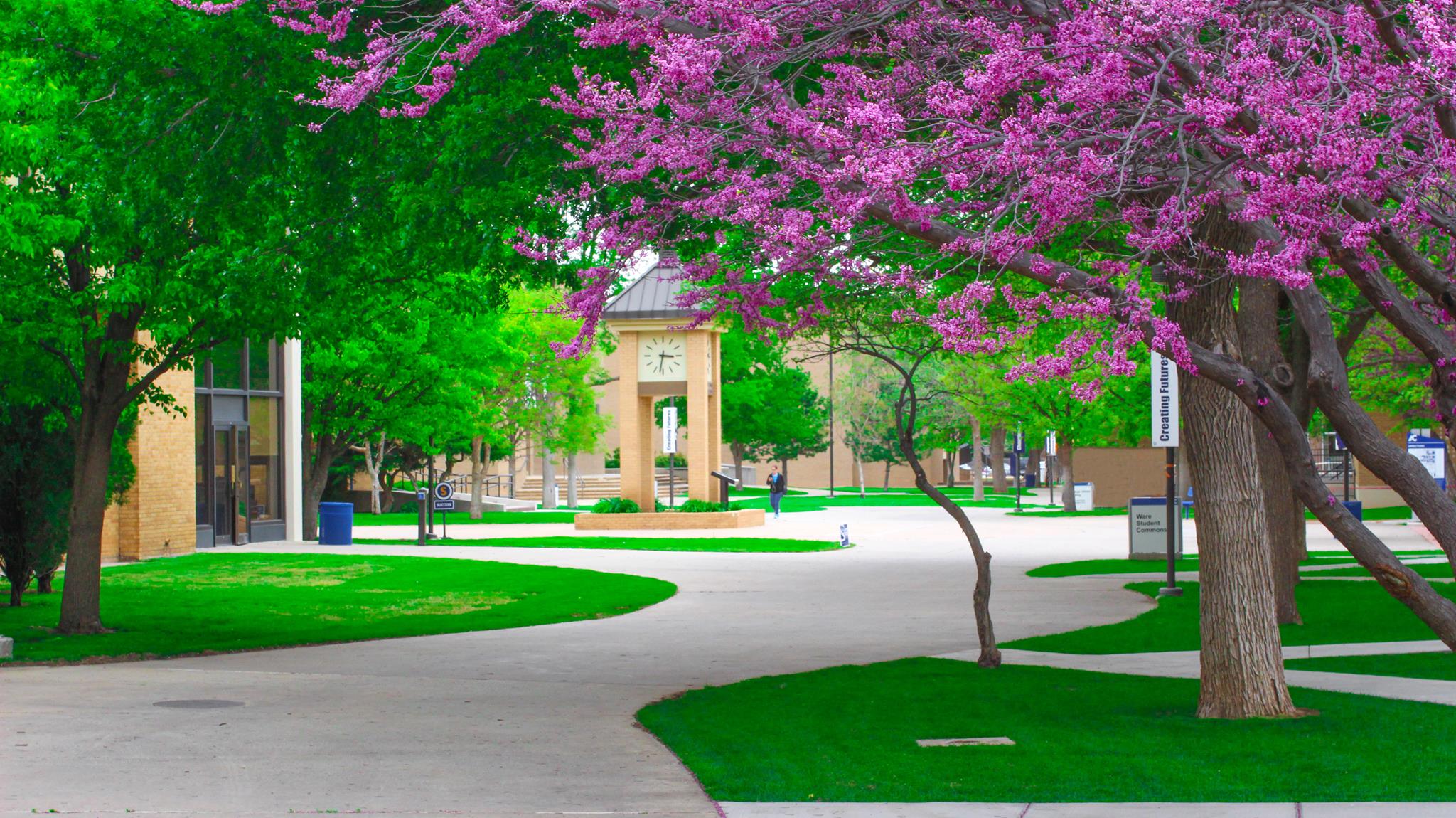 Amarillo College Expands Campus Resources with TimelyCare - TimelyCare